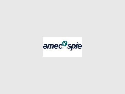 Amec-Spie convoitée par les géants français du BTP