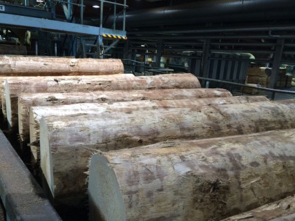 Les secrets de fabrication du finlandais Metsä Wood