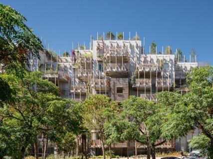À Nice, une "forêt méditerranéenne" recouvre des bâtiments du quartier ...