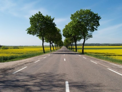 Trois départements s'unissent pour reprendre la route nationale 19